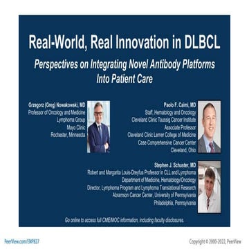 Real-World, Real Innovation in DLBCL: Perspectives on Integrating Novel Antibody Platforms Into ...
