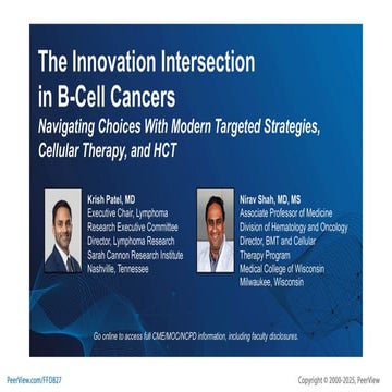 The Innovation Intersection in B-Cell Cancers: Navigating Choices With Modern Targeted ...