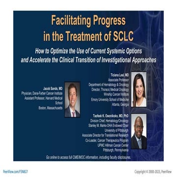Facilitating Progress in the Treatment of SCLC: How to Optimize the Use ...