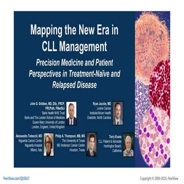 Mapping the New Era in CLL Management: Precision Medicine and Patient ...