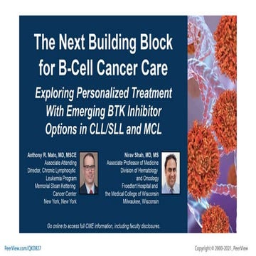 The Next Building Block for B-Cell Cancer Care: Exploring Personalized ...