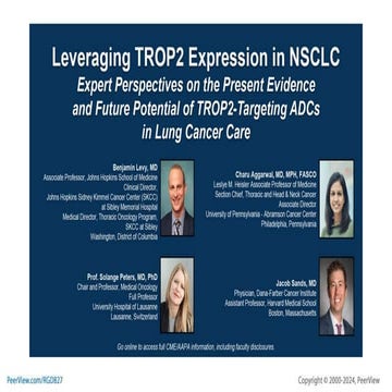 Leveraging TROP2 Expression in NSCLC: Expert Perspectives on the Present Evidence and Future ...