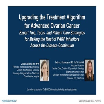 Upgrading the Treatment Algorithm for Advanced Ovarian Cancer: Expert ...