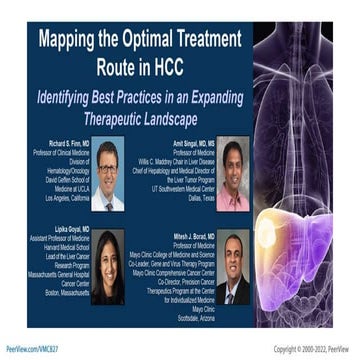 Mapping the Optimal Treatment Route in HCC: Identifying Best Practices ...