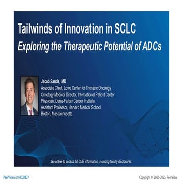 Tailwinds of Innovation in SCLC: Exploring the Therapeutic Potential of ...