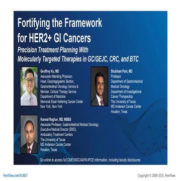 Fortifying the Framework for HER2+ GI Cancers: Precision Treatment ...