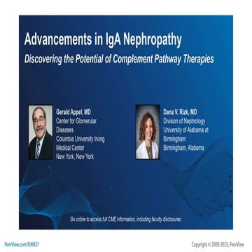 Advancements in IgA Nephropathy: Discovering the Potential of ...