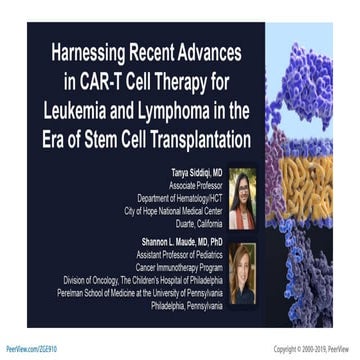 Harnessing Recent Advances in CAR-T Cell Therapy for Leukemia and ...