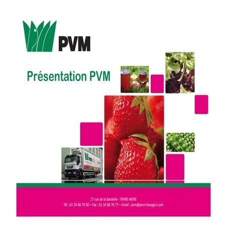 Pvm presentation | PDF