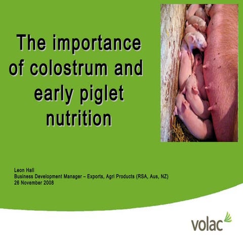 The importance of colostrum and early piglet nutrition | PPT