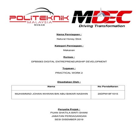 Practical Work 2 Digital Entrepreneurship Development | PDF