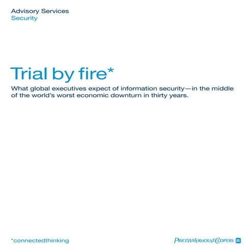 PWC Survey 2010 Report | PDF