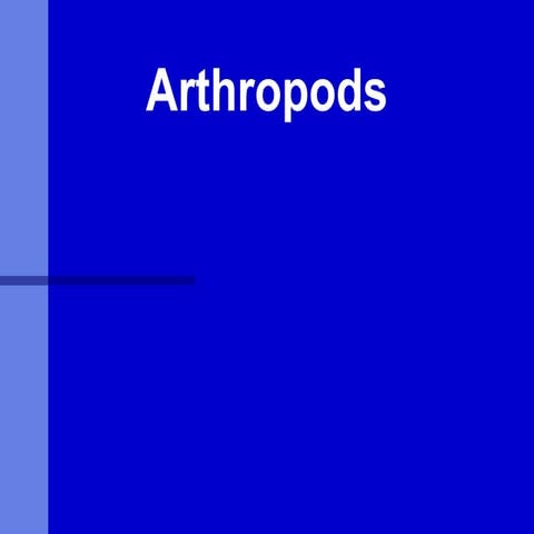 Pwpt arthropods | PPT | Biological Sciences | Science