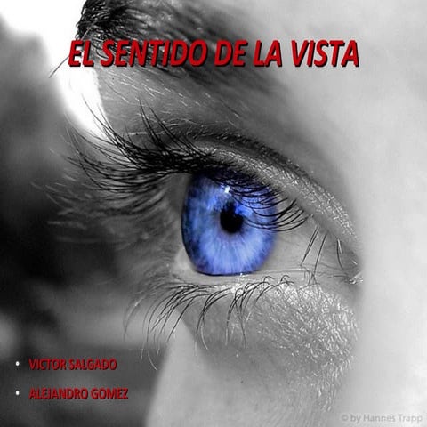 El sentido de la vista | PPTX