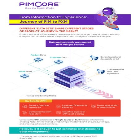 From Information to Experience: Journey of PIM to PXM | PDF