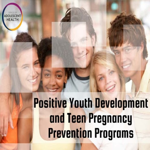 Positive Youth Development and Teen Pregnancy Prevention Programs | PPT