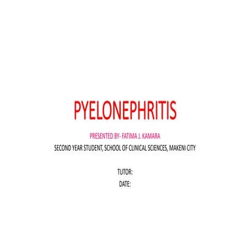 Nephrolithiasis and Pyelonephritis | PPTX