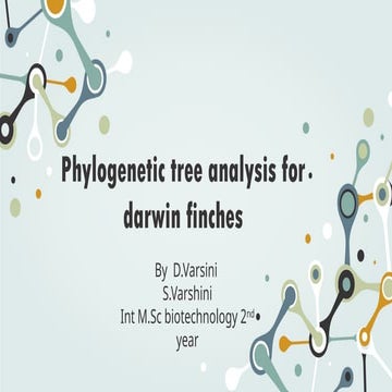 MEGA (Molecular Evolutionary Genetics Analysis) | PDF