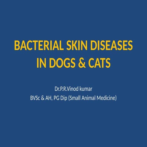 Bacterial skin diseases in dogs & cats.. | PPT