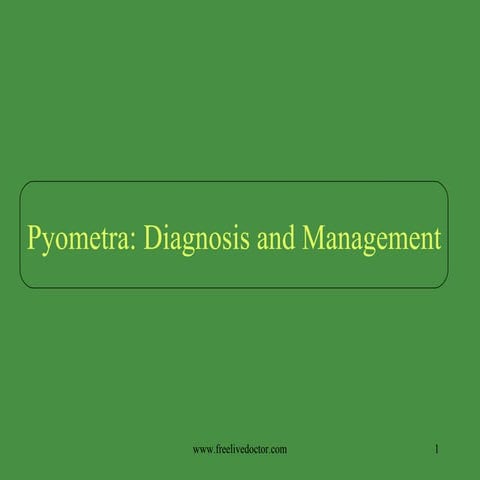 Pyometra | PPT