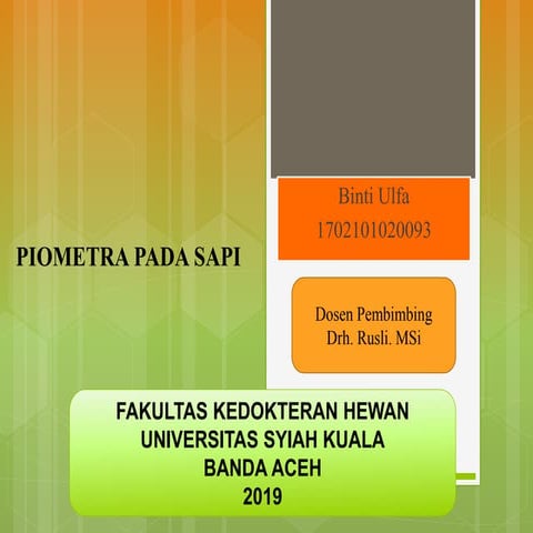 Pyometra pada sapi | PPTX