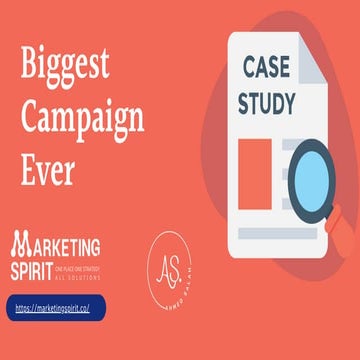 pyramids case study (2).pdf