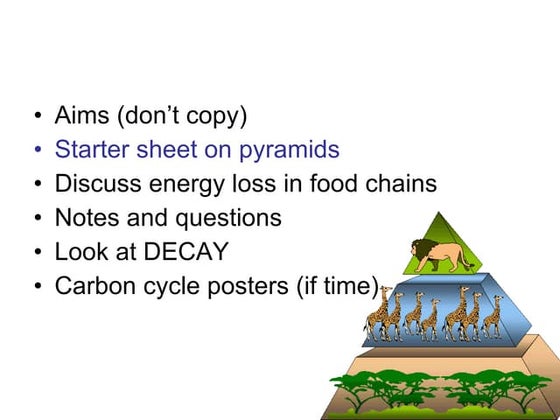 Feeding relationships | PPT