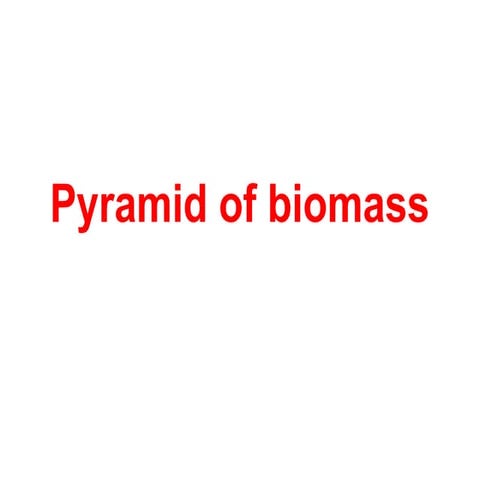 The importance of photosynthesis in the ecosystem | PPTX