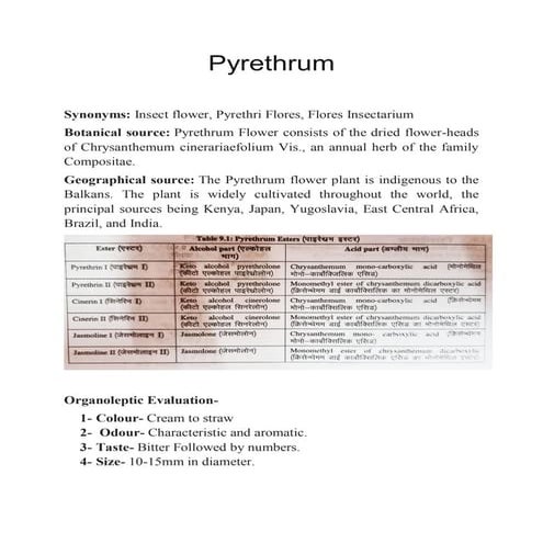 Pyrethrum | PDF