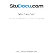python-project-report 2.pdf