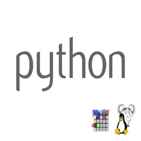 Python at a glance | PPT
