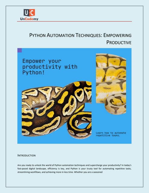 Python Automation Techniquespdf