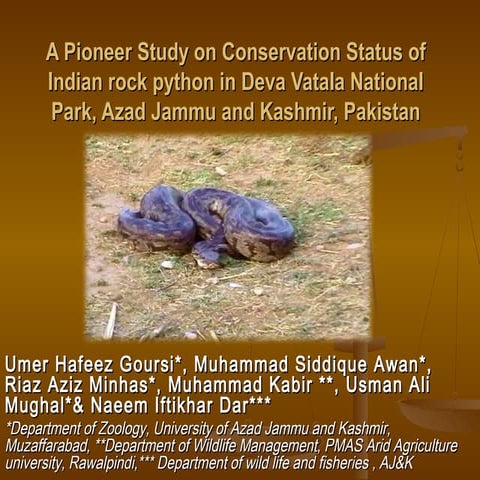 Python umer gorci final | PPT