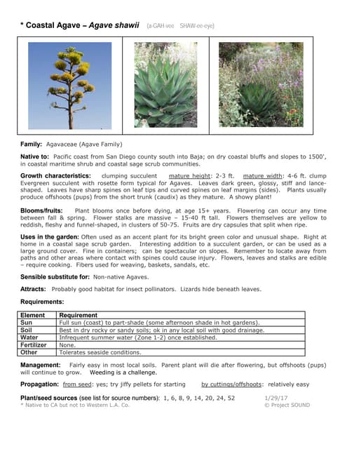Gardening sheet agave utahensis | PDF