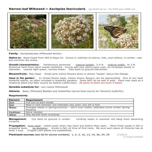 Final common milkweed powerpoint | PPTX