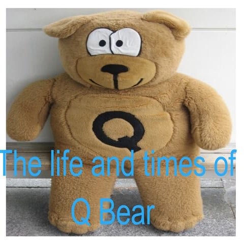 Q Bear Pp | PPT