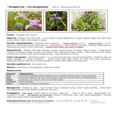Q iris-douglasiana | PDF