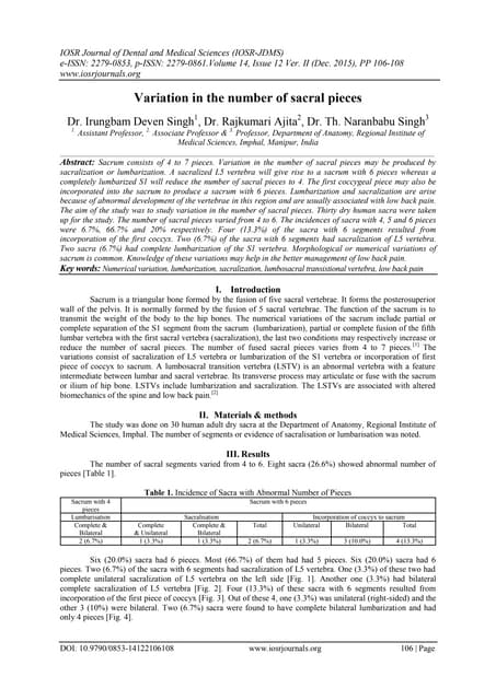Transitional vertebrae radiology | PPTX