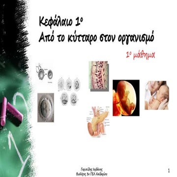 Διαγωνίσματα Βιολογίας Α γυμνασίου | DOC