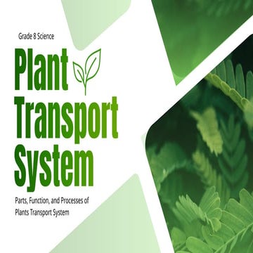 PLANT TRANSPORT SYTEM- THE XYLEM AND PHLOEM.pptx
