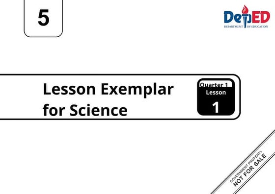 LE_Science7_Q1_week-2_final.pdf Learning Exemplar for science 7 MATATAG curriculum | PDF ...