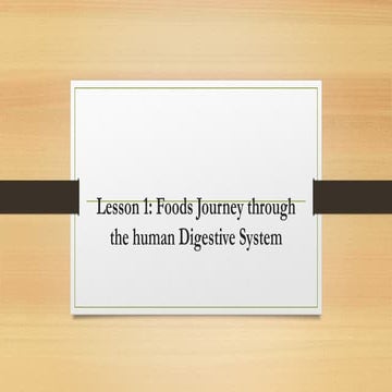 Q1 MID LESSON 1.pptxbdbdbdbdbdbdbdbdbdbdbdb | PPTX