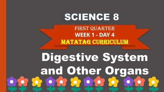 Q2_LE_ Science 4_Lesson 2_Week week 4 Science 4 2.pdf | Lung and ...