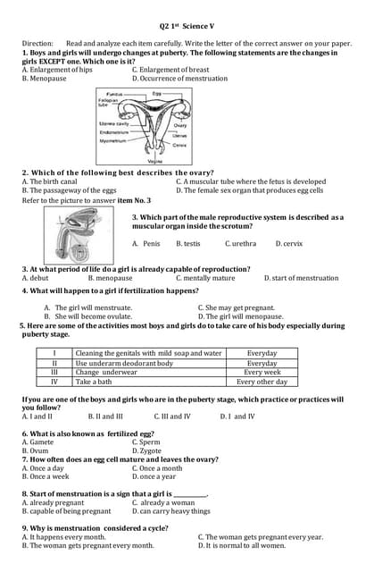 Grade 7 ns exam | PDF