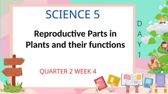 The Parts Of Plants | PPT