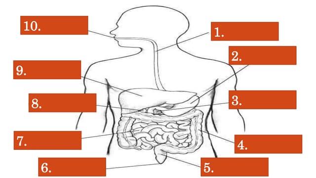 SCIENCE 4_Q2_Mod1.pdf