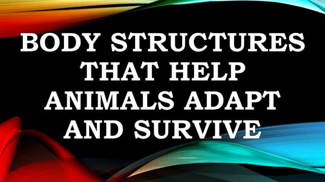BODY STRUCTURES THAT HELP ANIMALS ADAPT AND SURVIVE .pptx