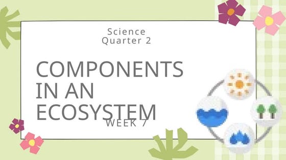 Vocabulary Words in English Translation to Tagalog.pptx