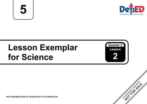 Q2_LE_ Science 4_Lesson 2_Week week 4 Science 4 2.pdf | Lung and ...