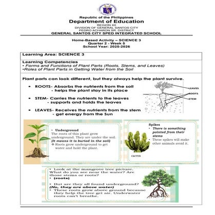 Plants 3rd grade | PPTX